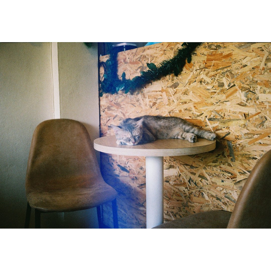 CHALERMCHON is my name.